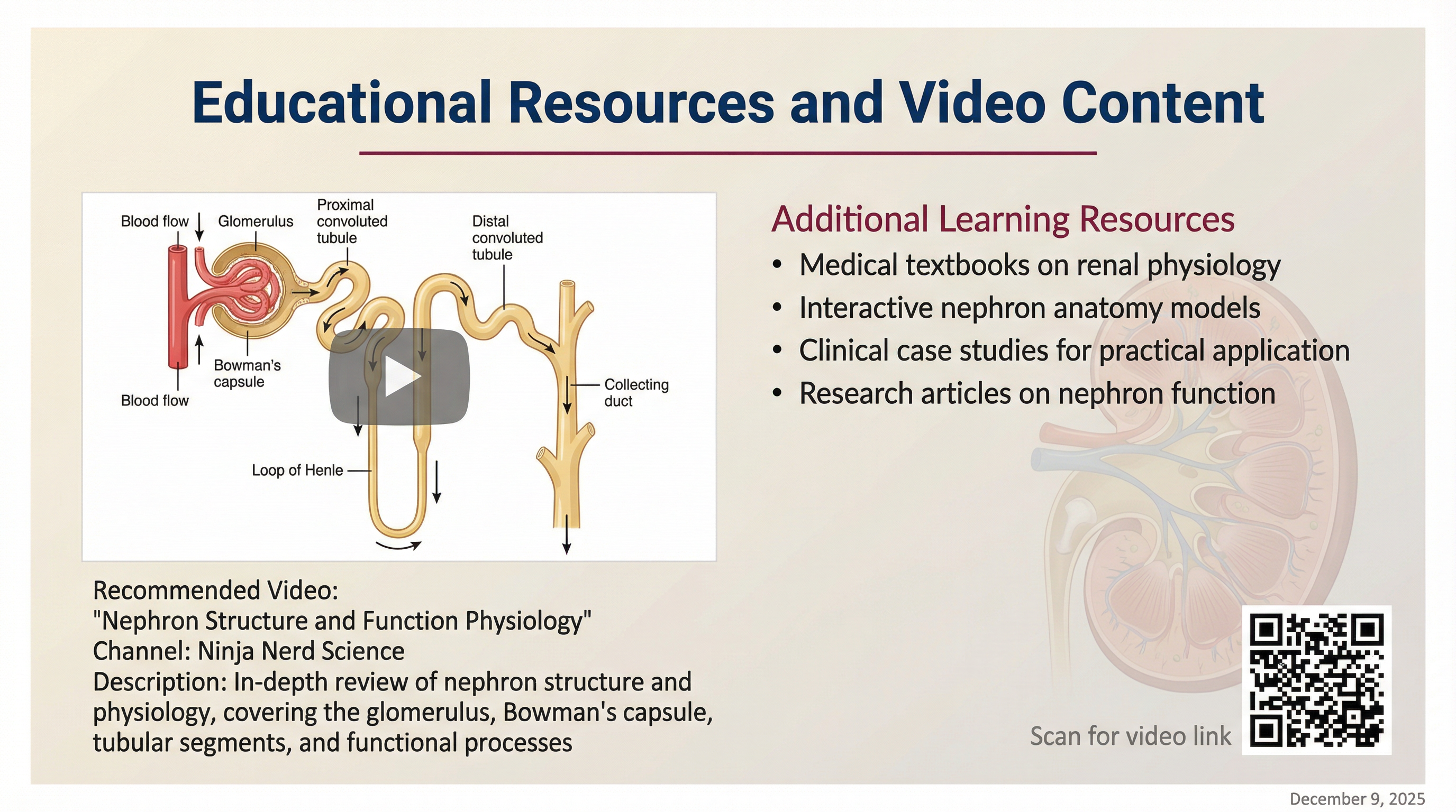 Nephron Anatomy And Physiology Ppt
