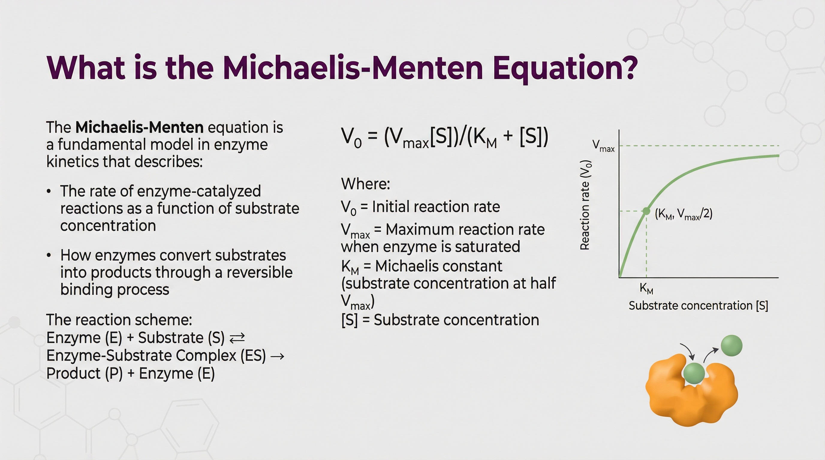 Enzyme Substrate Product Equation