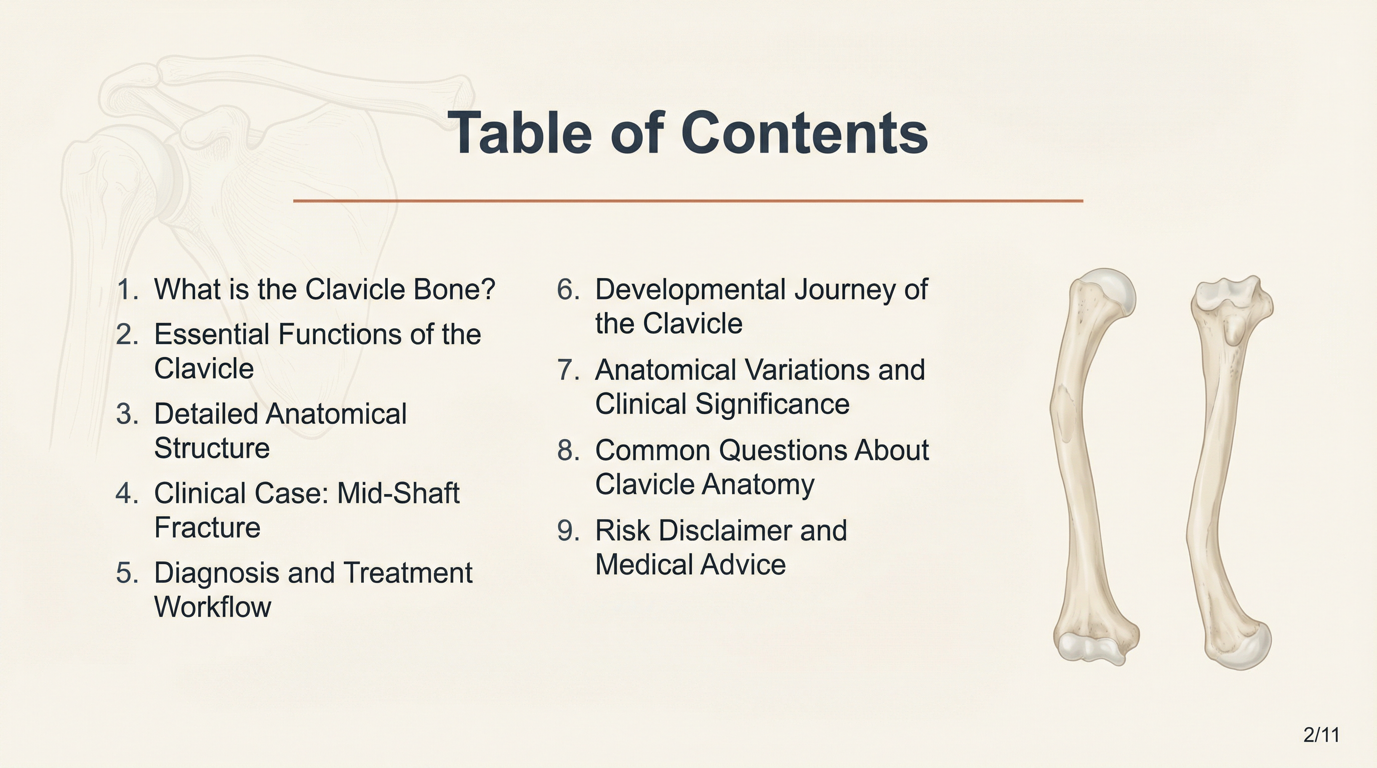 Clavicle Anatomy Ppt