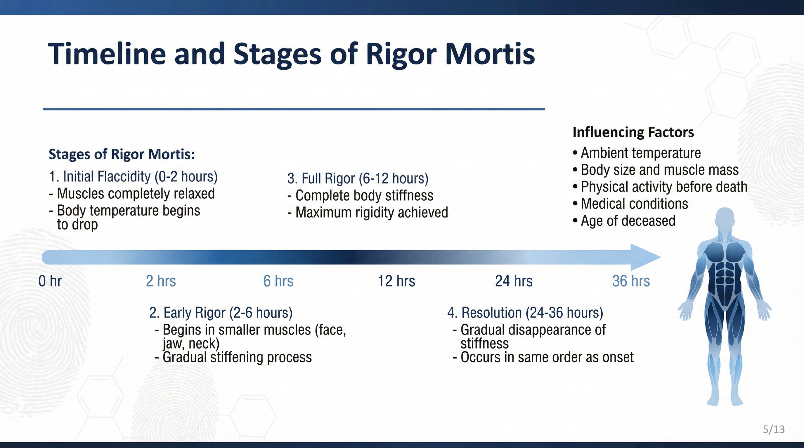 Rigor Mortis Timeline Animals