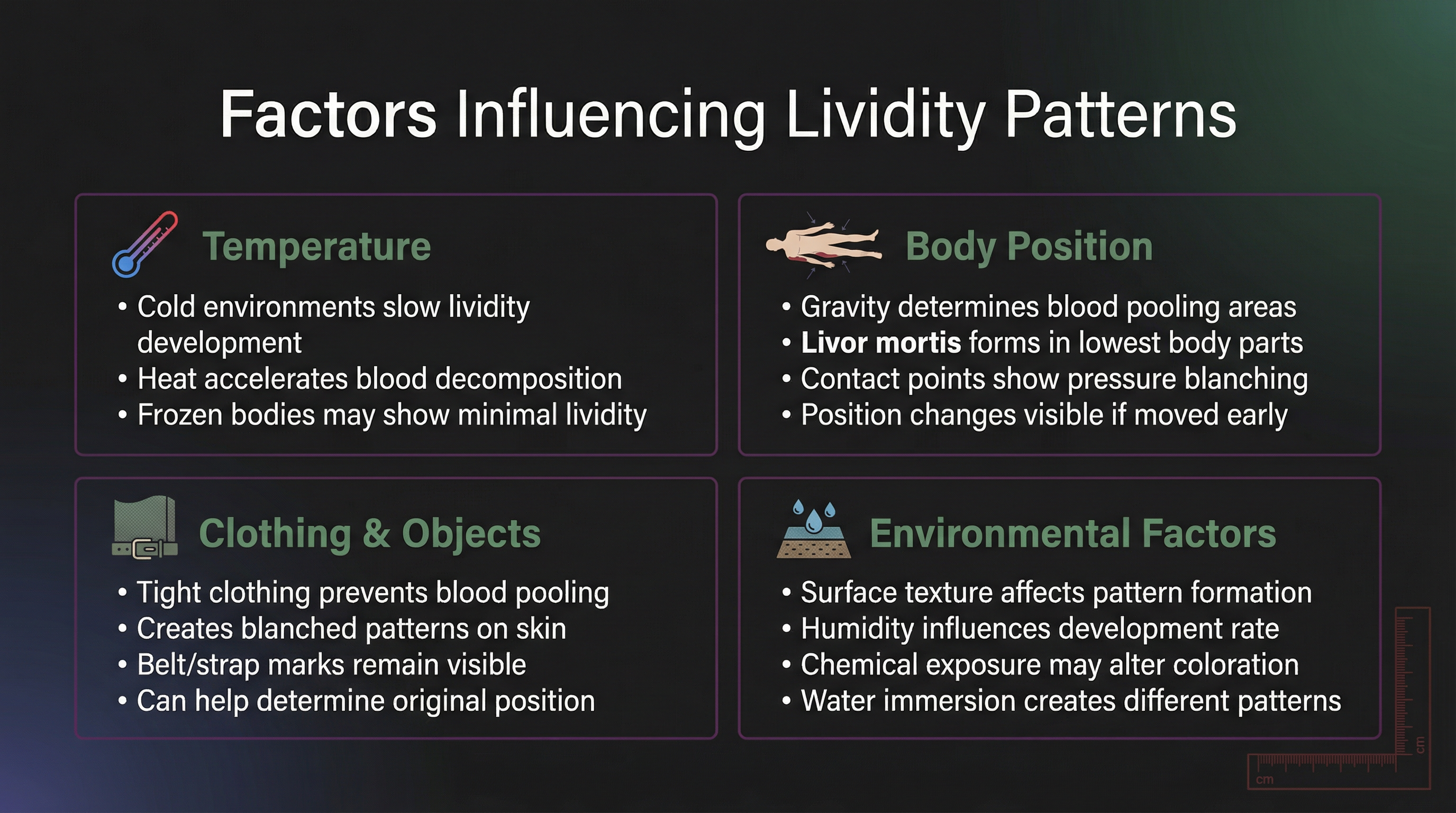 Lividity Timeline
