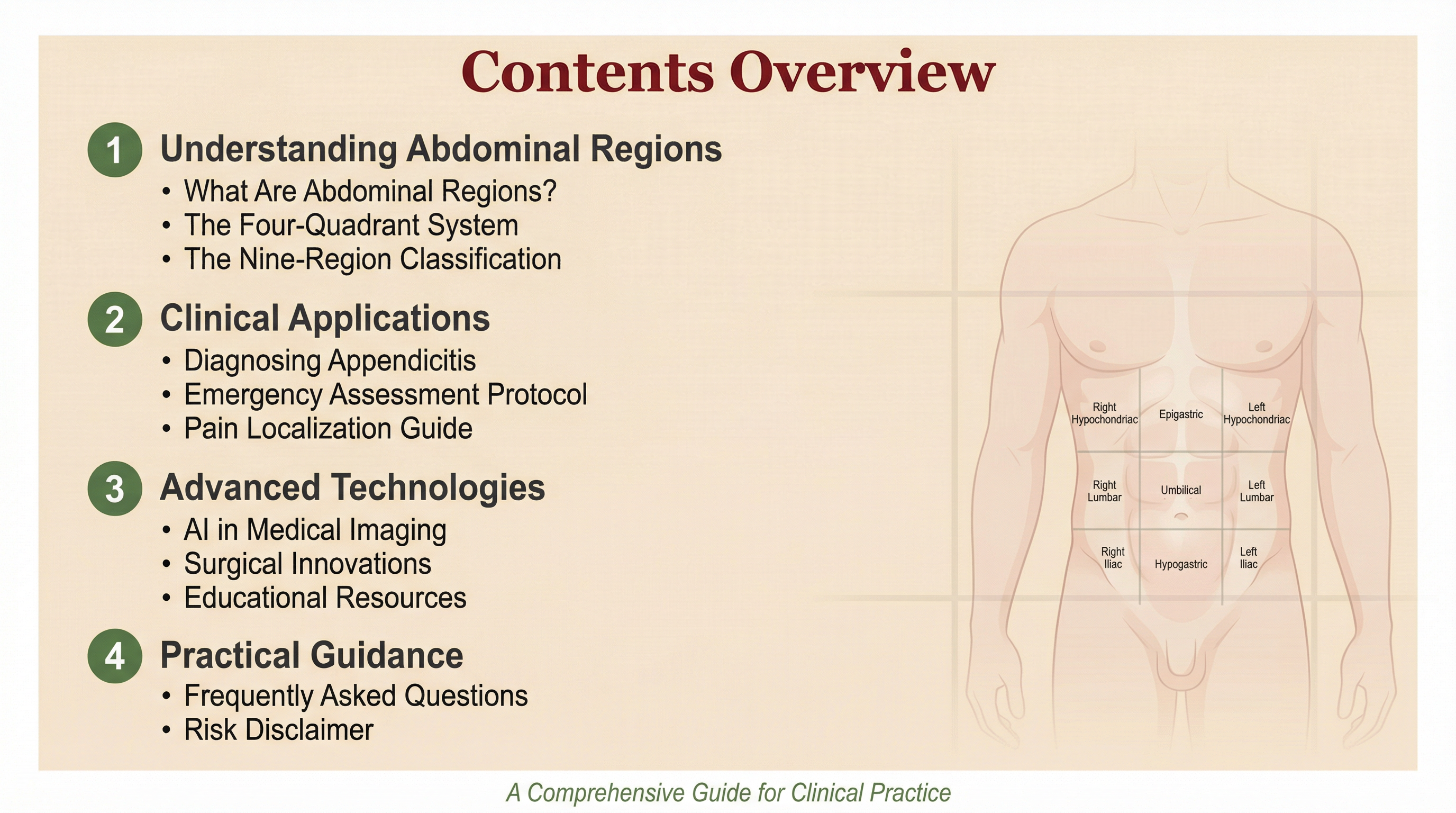 Abdominal Regions And Quadrants Diagram