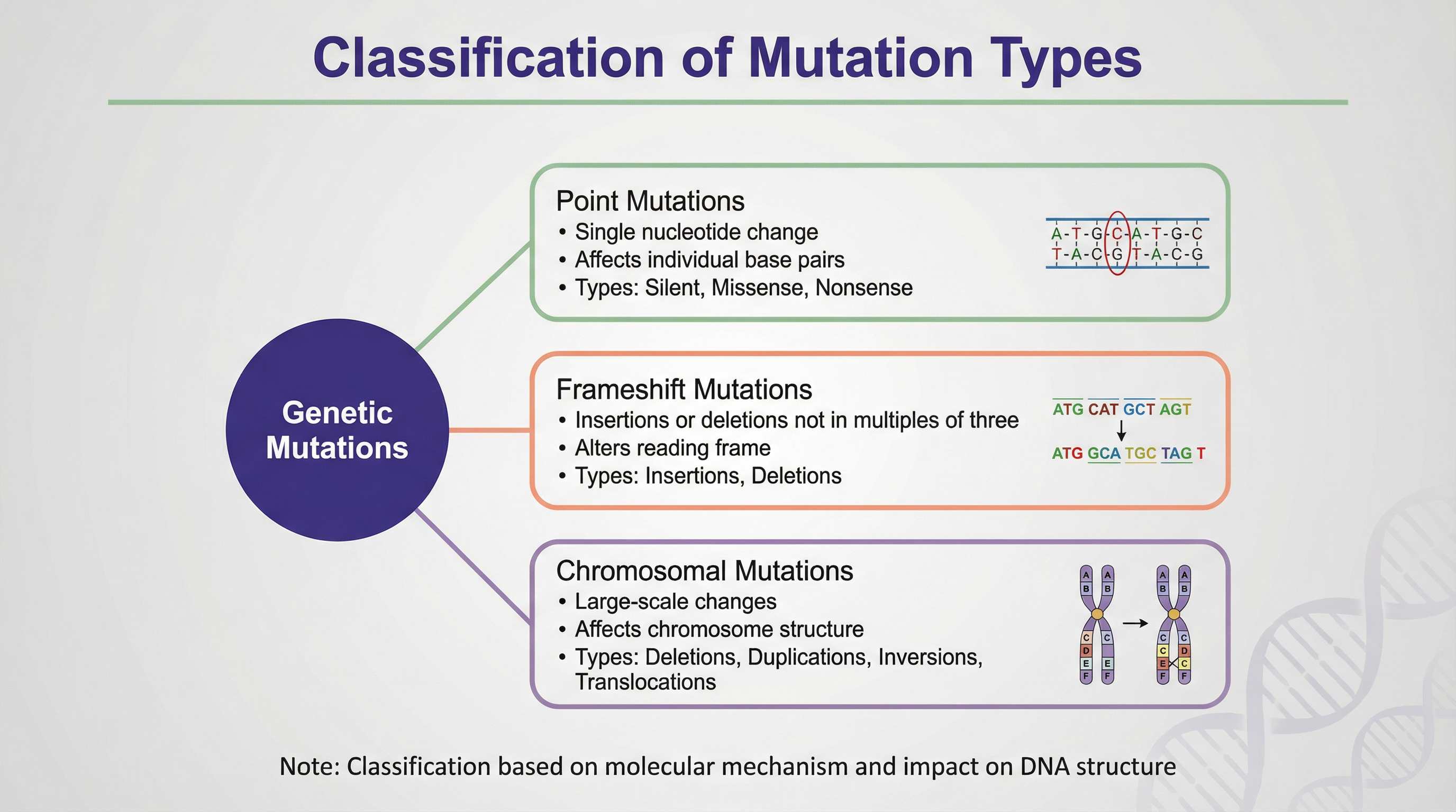 Types Of Genetic Mutation Ppt