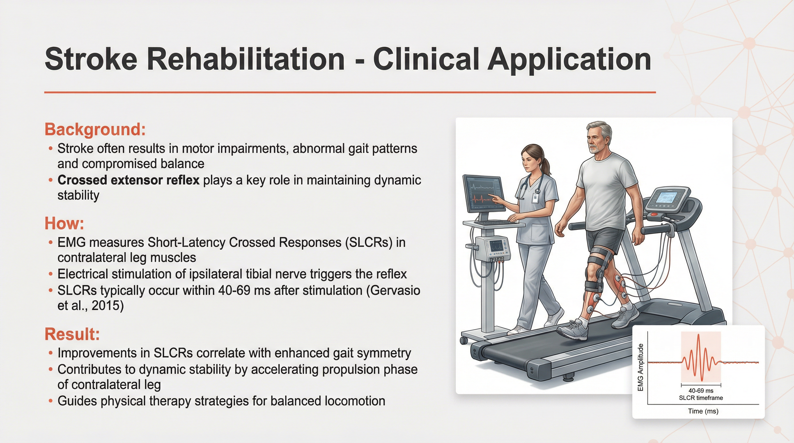 Crossed Extension Reflex Physiopedia