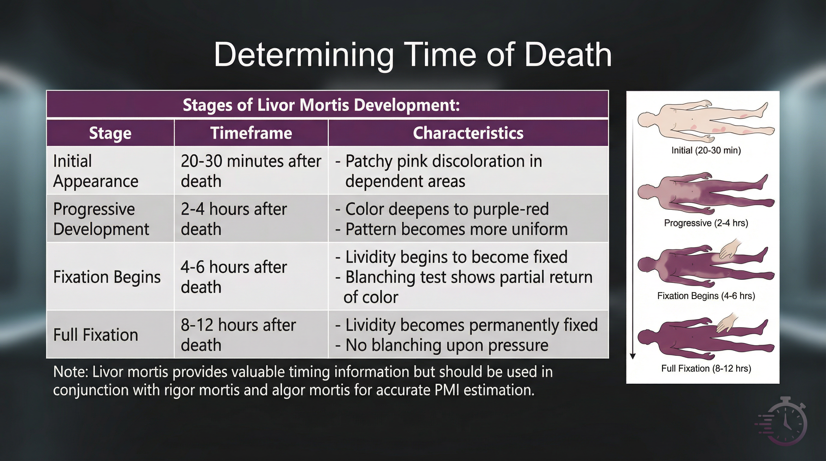 Livor Mortis Forense