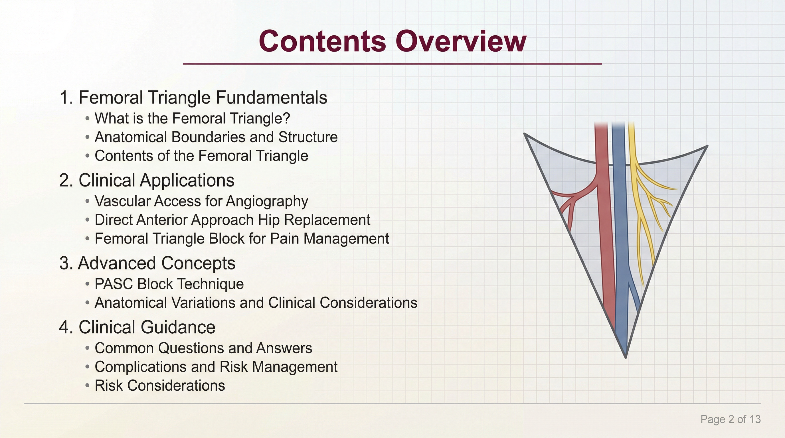 What Is The Femoral Triangle