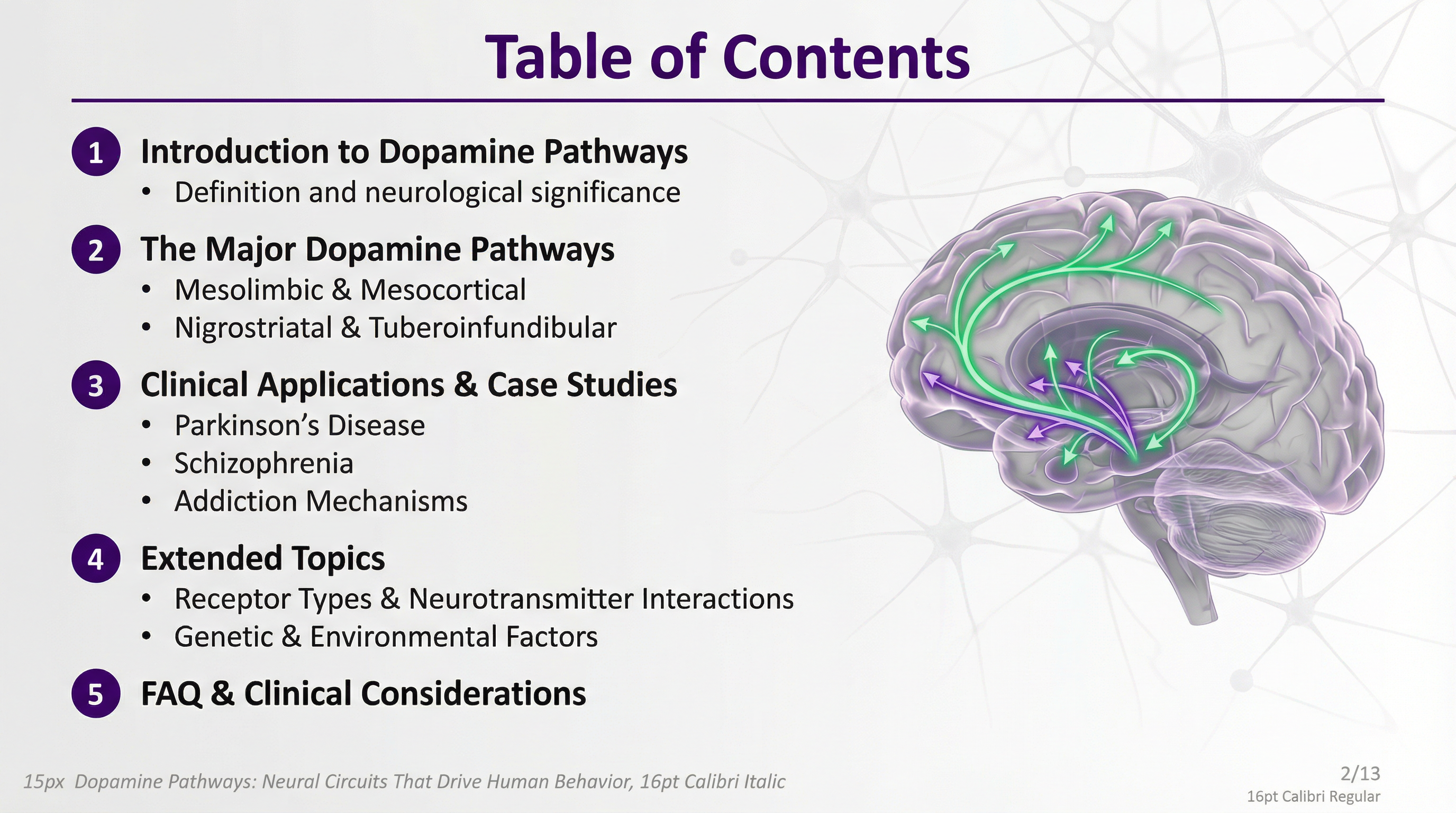Functions Of The Neurological Pathway